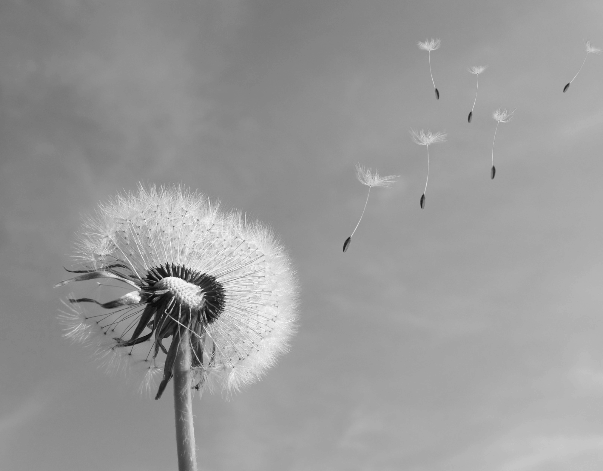 (7) Een weg die je hoopvol in beweging brengt - Leren in de Kerk