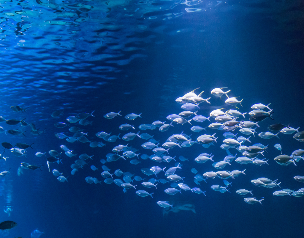 (9) Wat als ik maar gewoon ben? - Leren in de Kerk